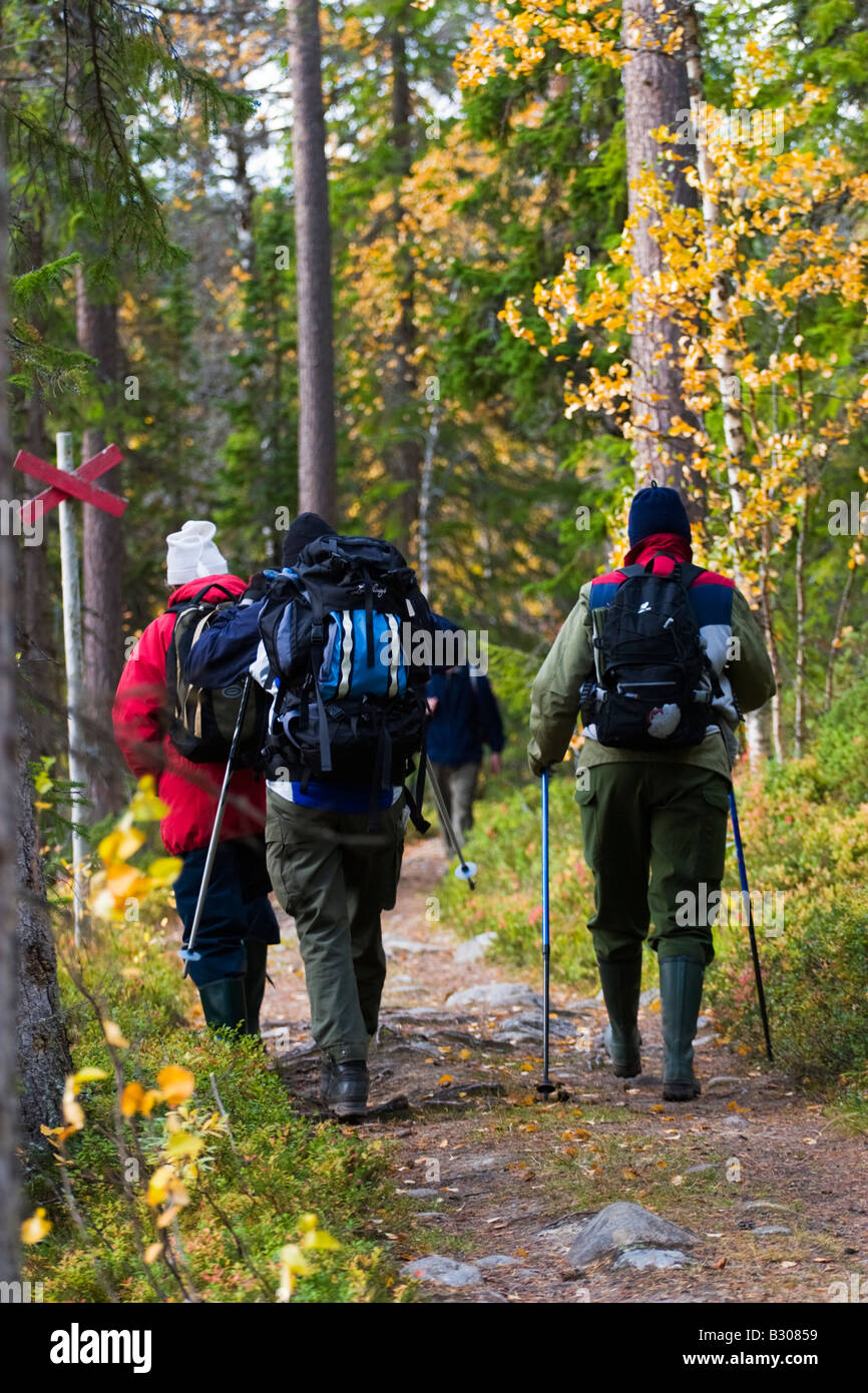 Nordic walking track hi-res stock photography and images - Alamy