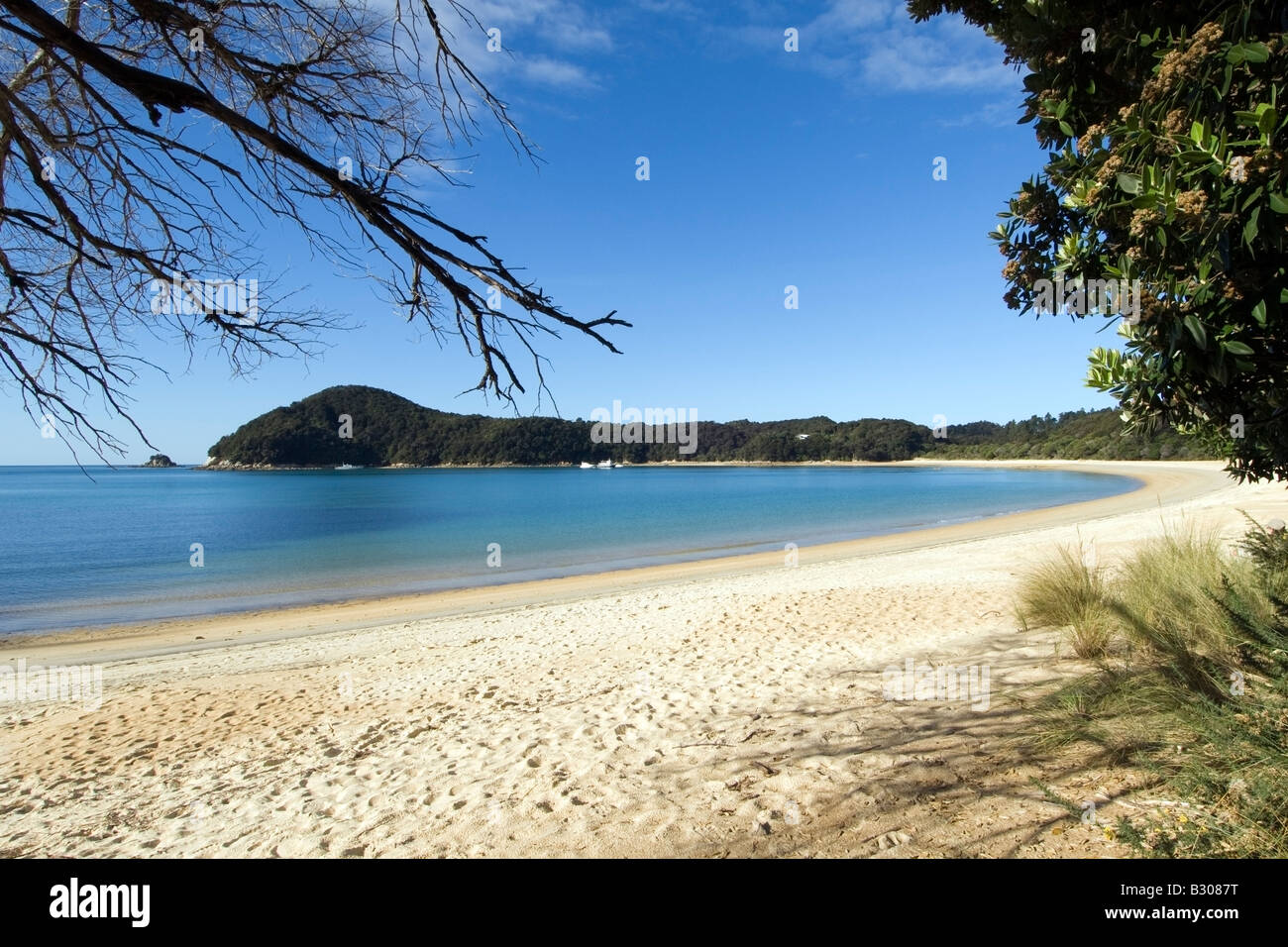 The Anchorage, Torrent Bay, Abel Tasman National Park, New Zealand Stock Photo - Alamy