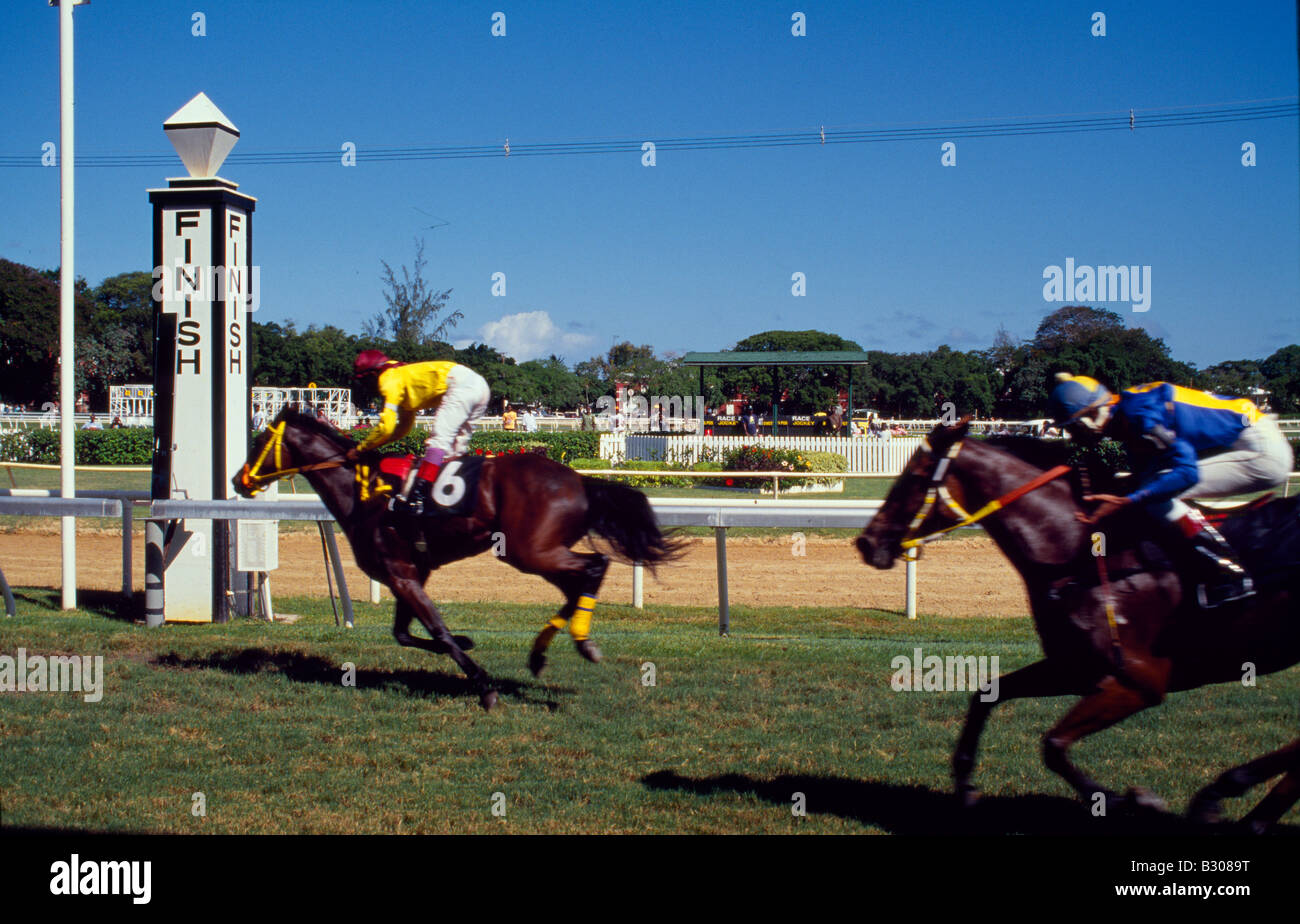 Horse racing track at the garrison savannah barbados hi-res stock ...