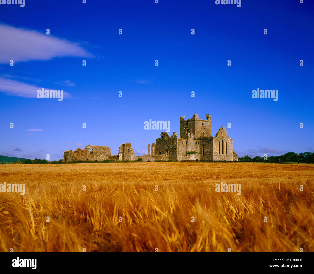 dunbrody castle wexford ireland Stock Photo - Alamy