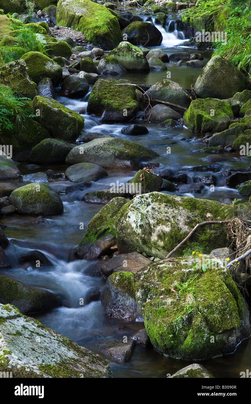 Clean brook hi-res stock photography and images - Alamy