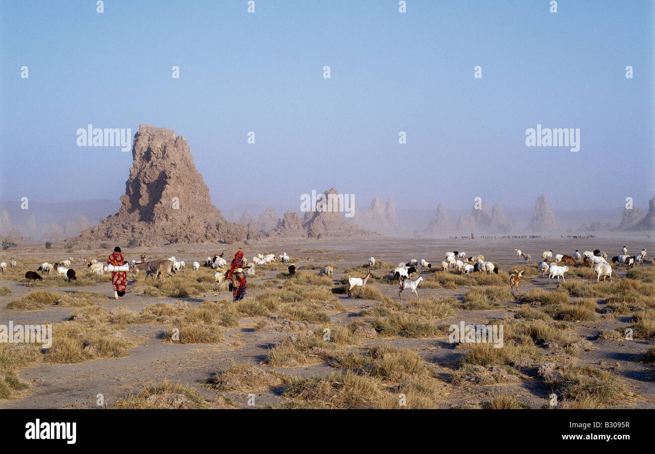 Djibouti, Lake Abbe. Lake Abbe, on the border of Djibouti and Ethiopia ...