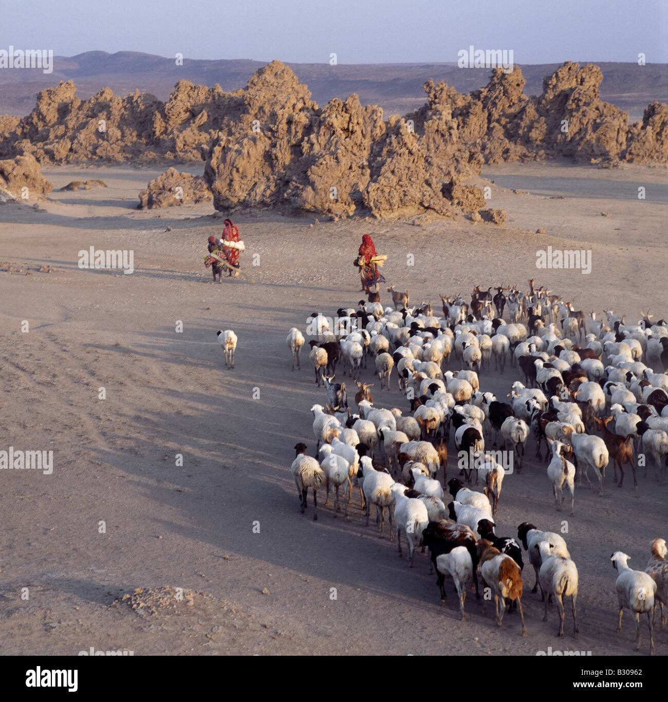 Djibouti, Lake Abbe. Lake Abbe, on the border of Djibouti and Ethiopia ...