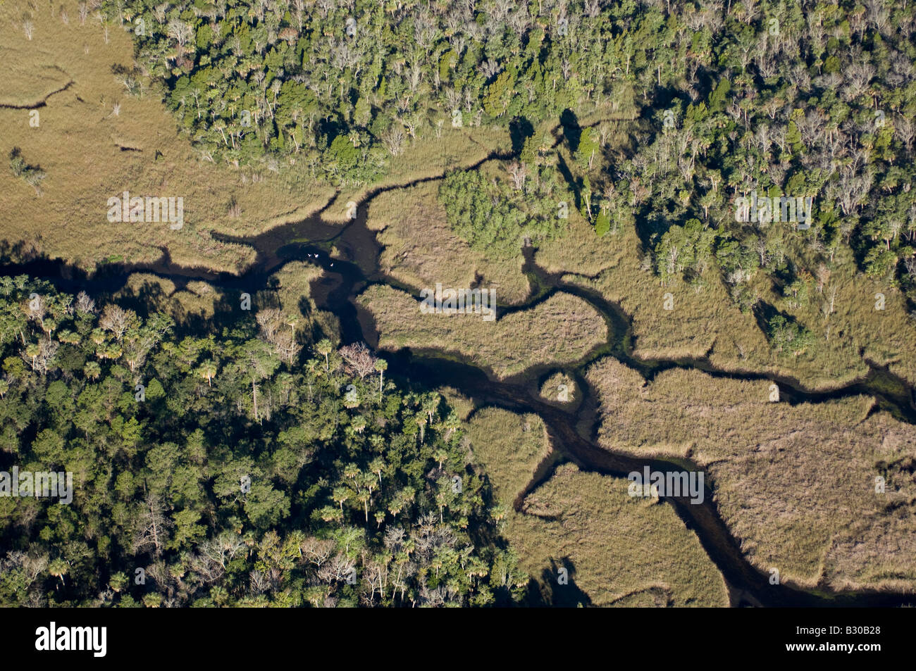 Crystal river florida aerial hi-res stock photography and images - Alamy