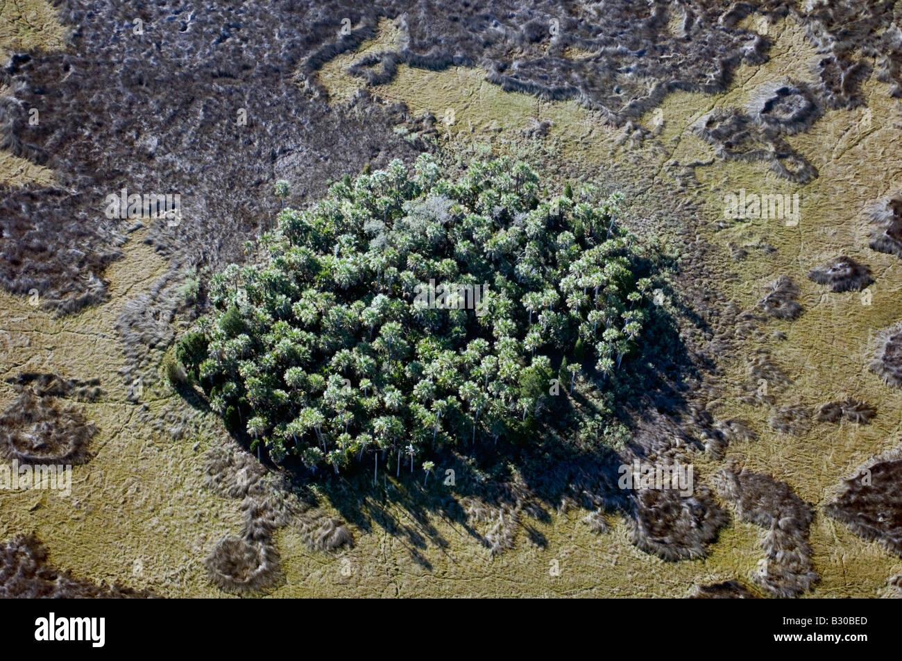 Aerial photograph of Crystal River in northwestern Florida; one of the ...