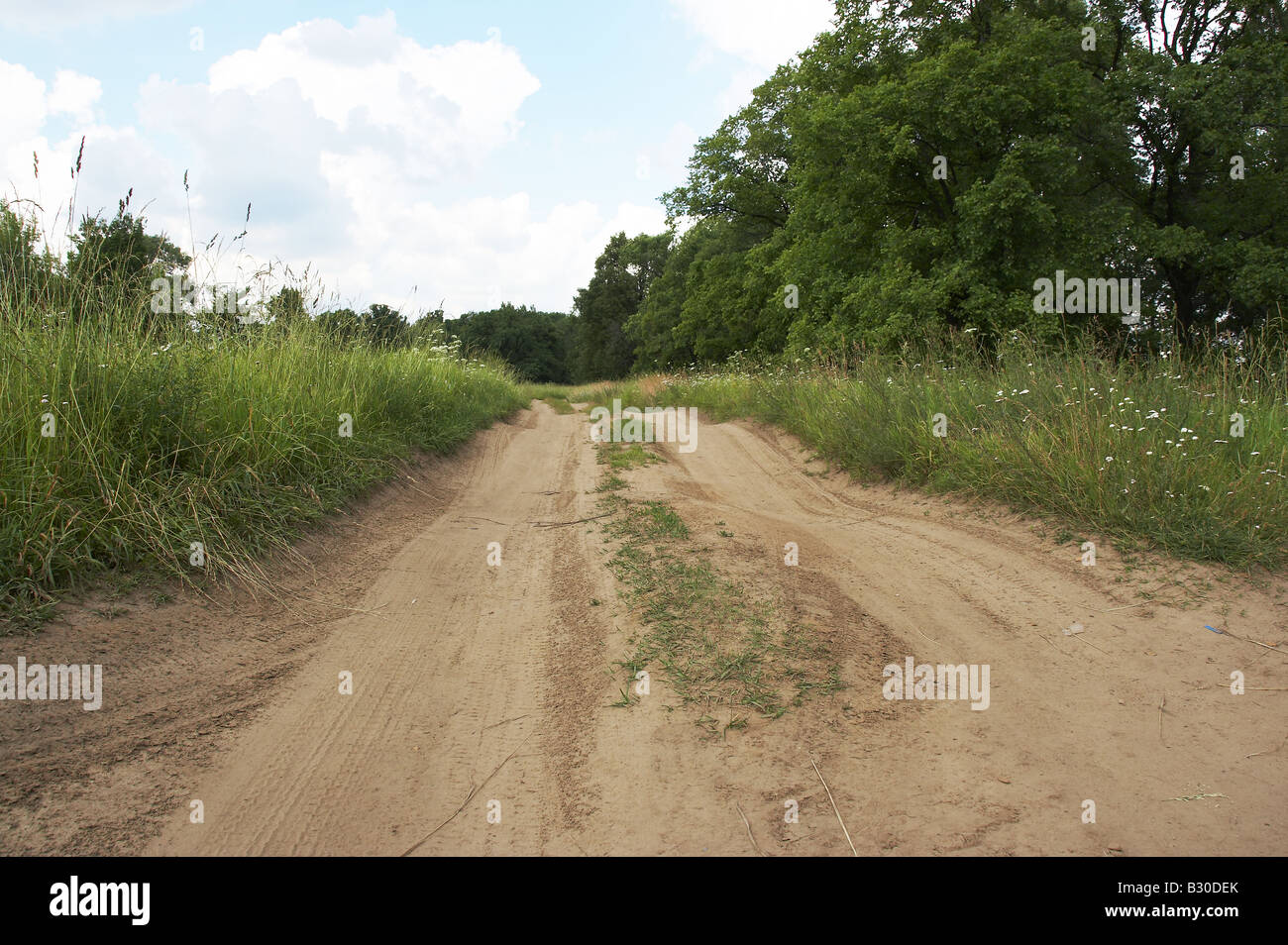 Walking tracks woods hi-res stock photography and images - Alamy