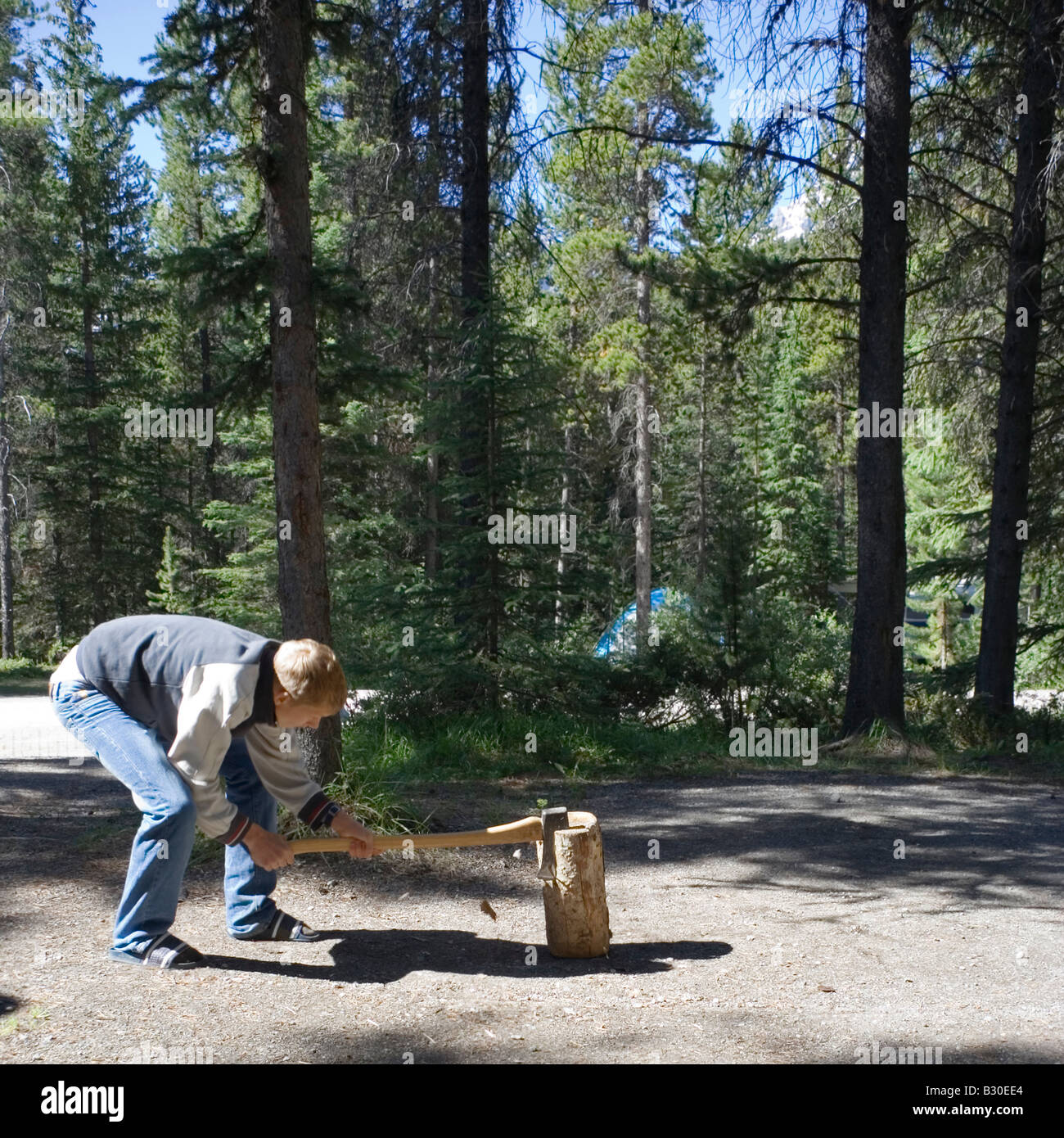 teen chopping wood - banff national park, canada Stock Photo - Alamy