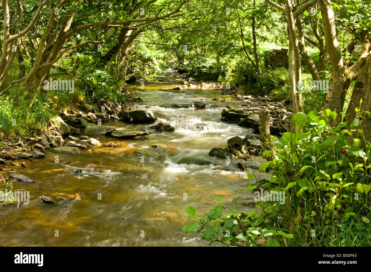 Heddon Valley Exmoor National Park North Devon Stock Photo - Alamy