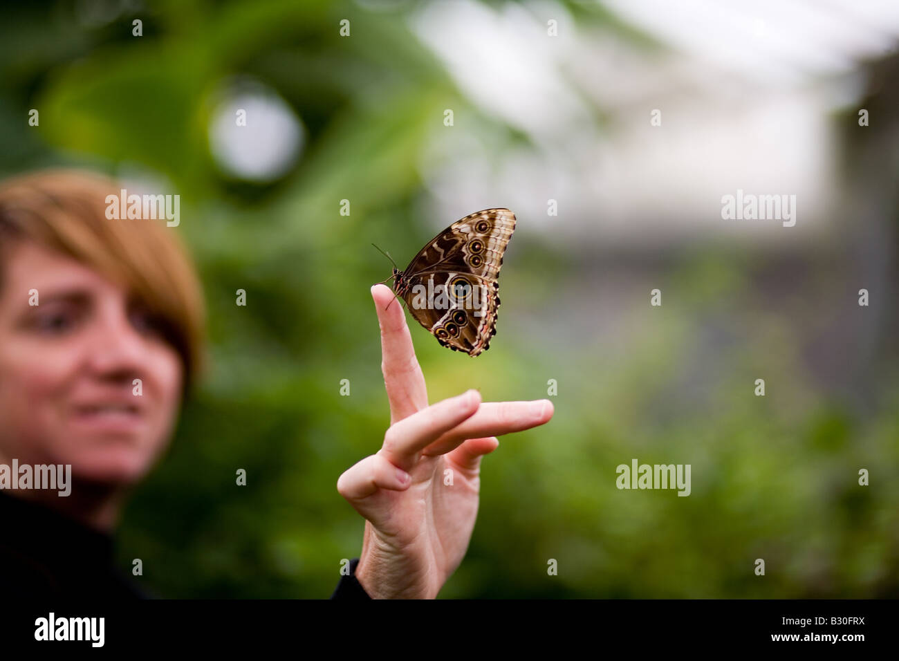 Woman butterfly hi-res stock photography and images - Alamy