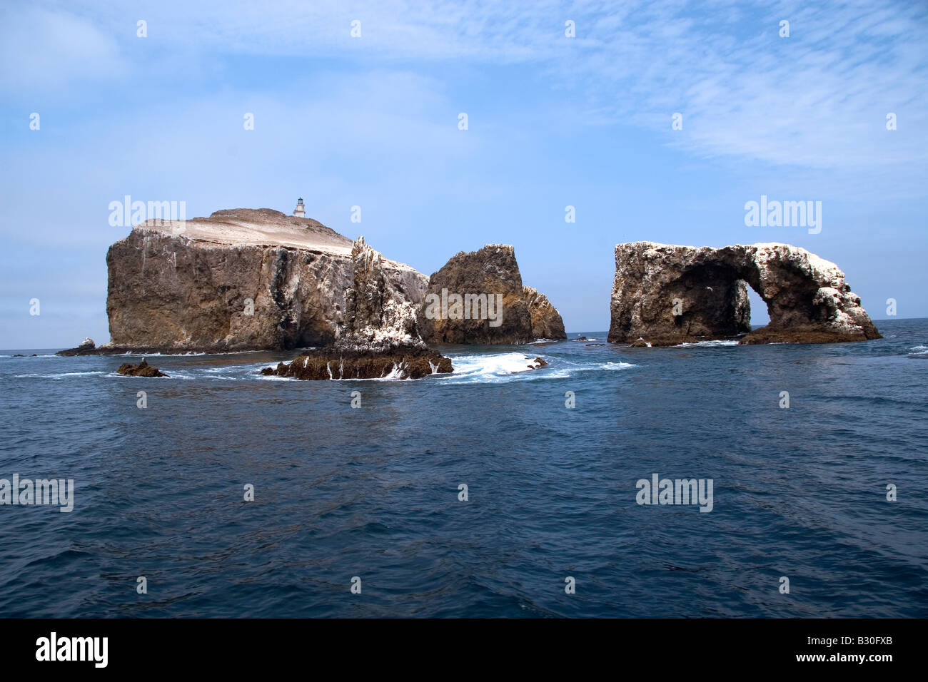 Anacapa brown pelican hi-res stock photography and images - Alamy