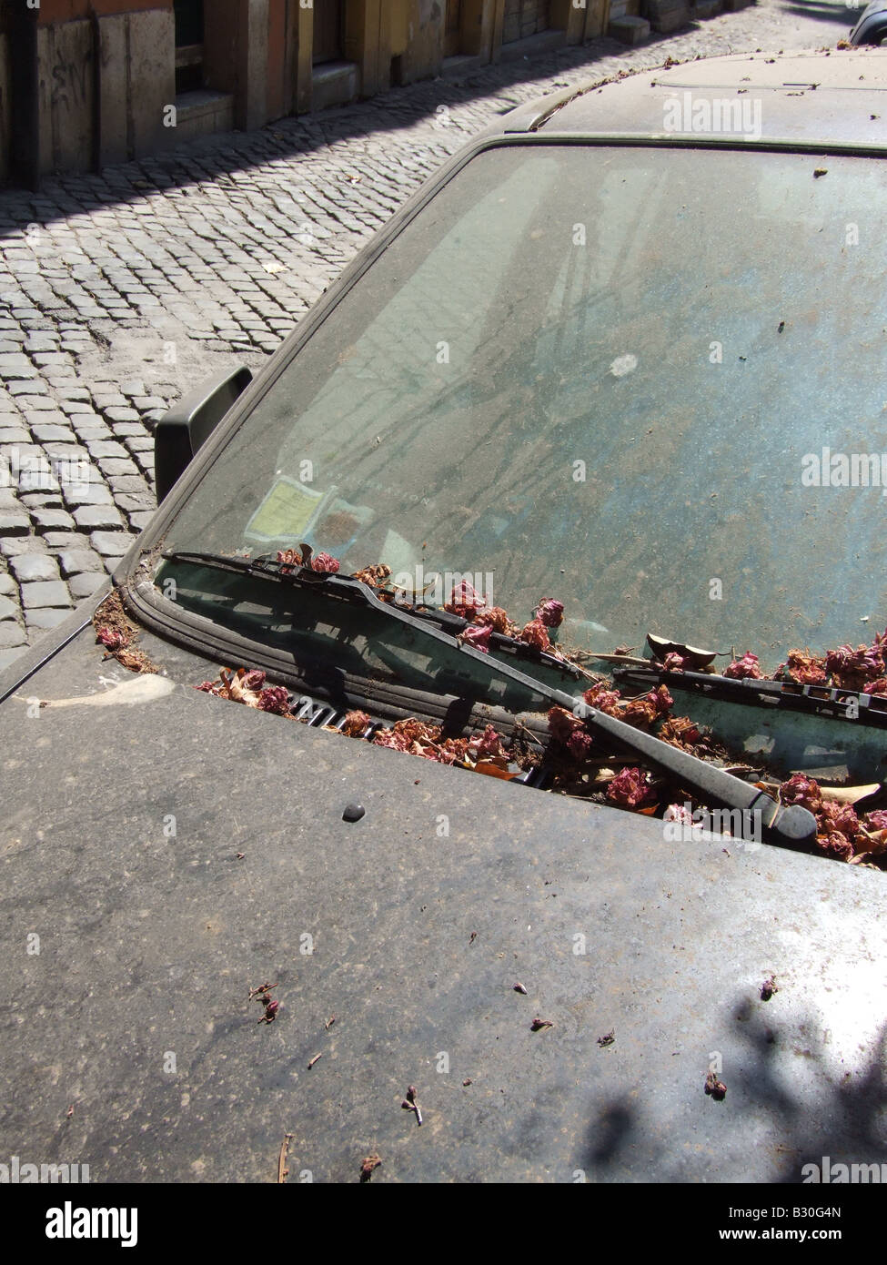 red flowers abandoned dirty muddy car window Stock Photo - Alamy