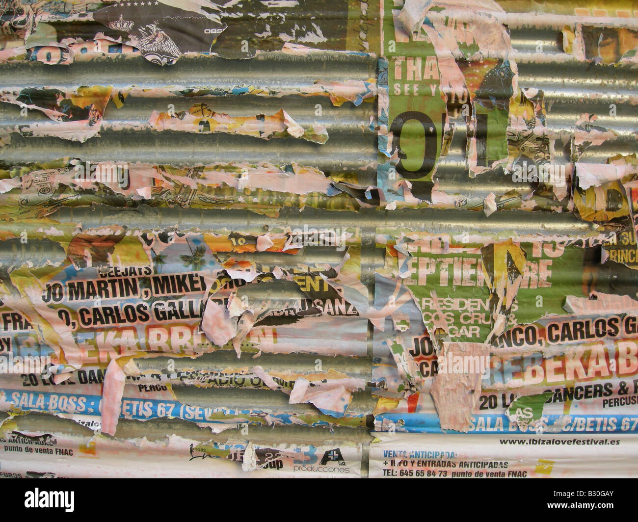 Spanish fly hi-res stock photography and images - Alamy