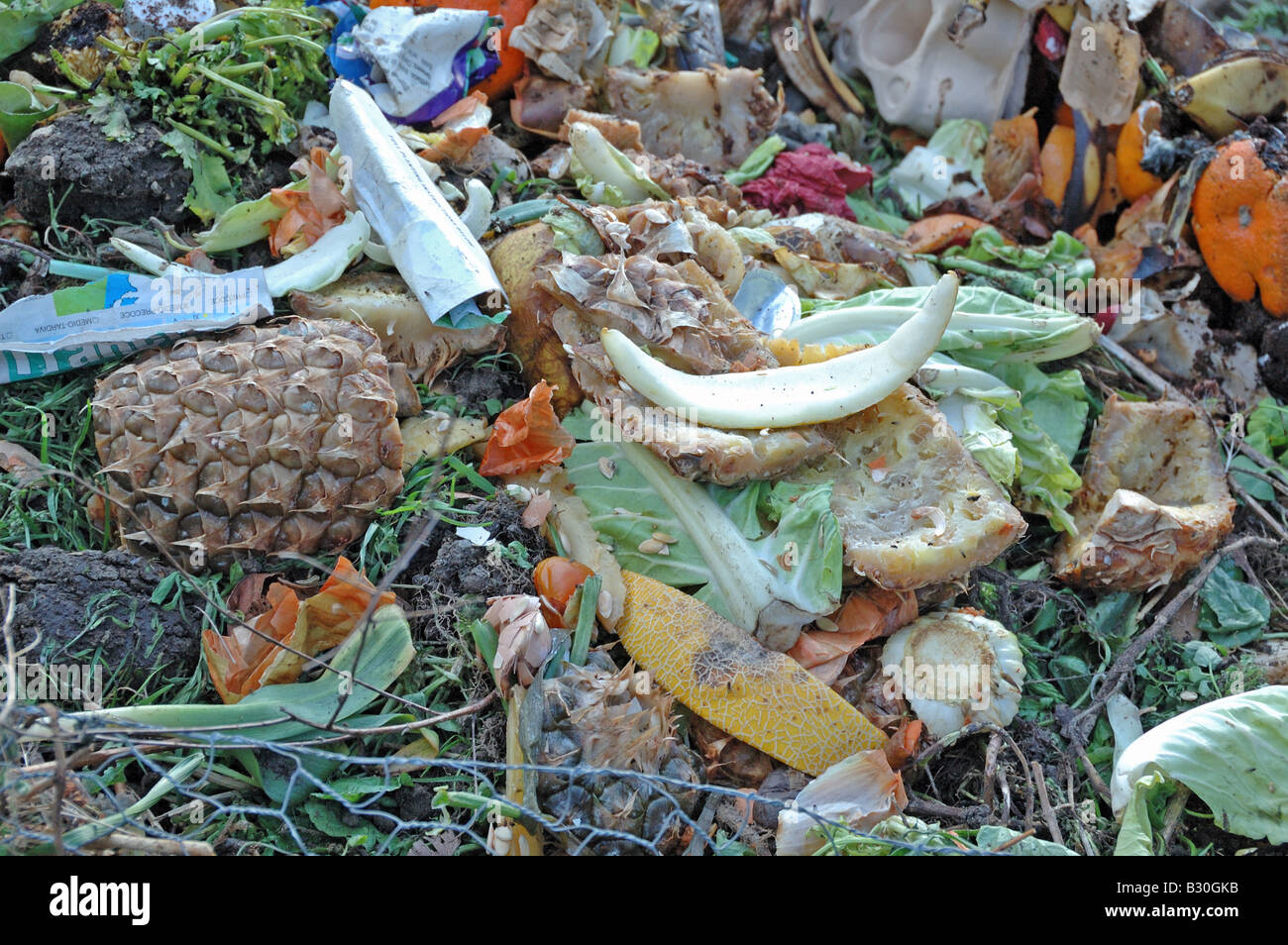 Smart compost in an Islington garden London England UK Stock Photo - Alamy