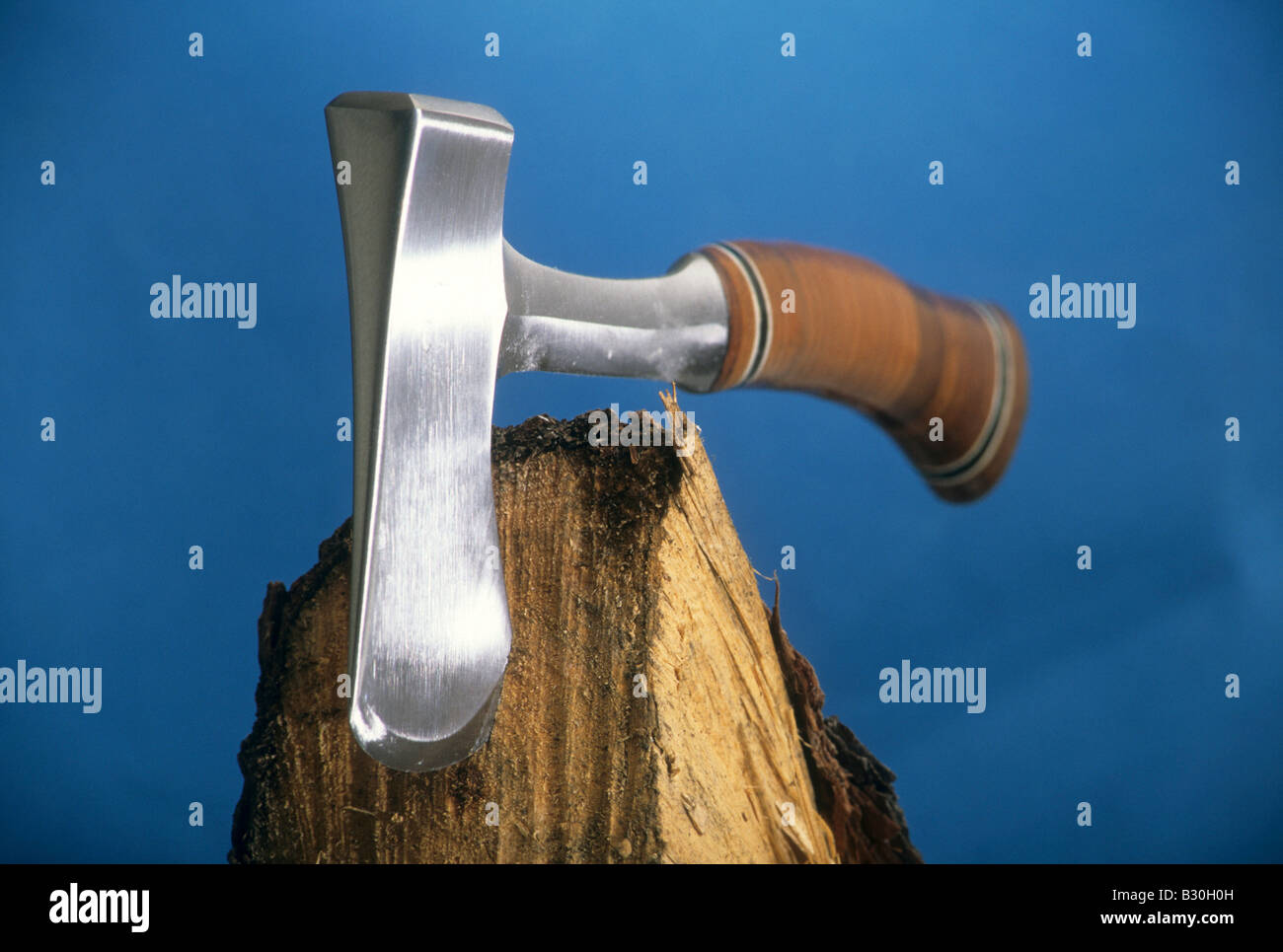 Hatchet in piece of wood from tree Stock Photo - Alamy