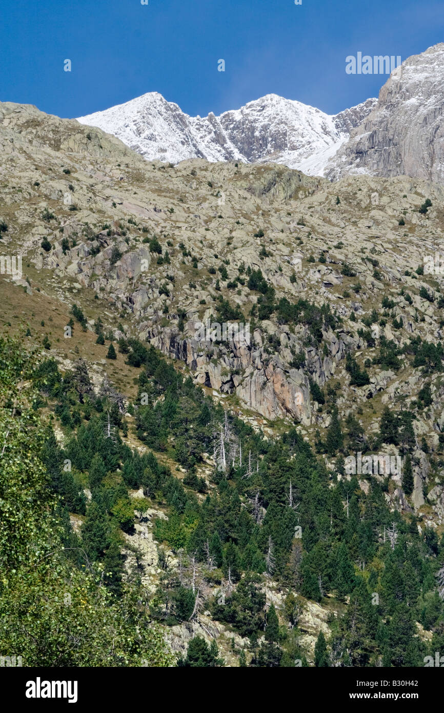 Eriste hi-res stock photography and images - Alamy