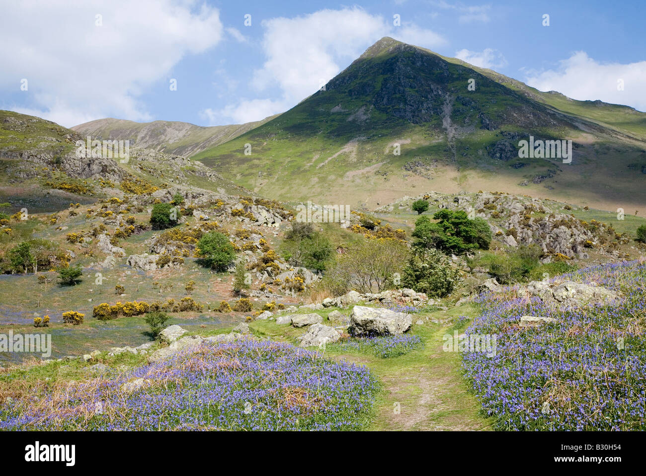 Whiteless Pike Rannerdale Secret Valley of the Bluebells Field and ...