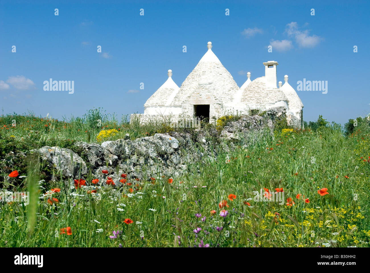 Puglia trulli flowers hi-res stock photography and images - Alamy