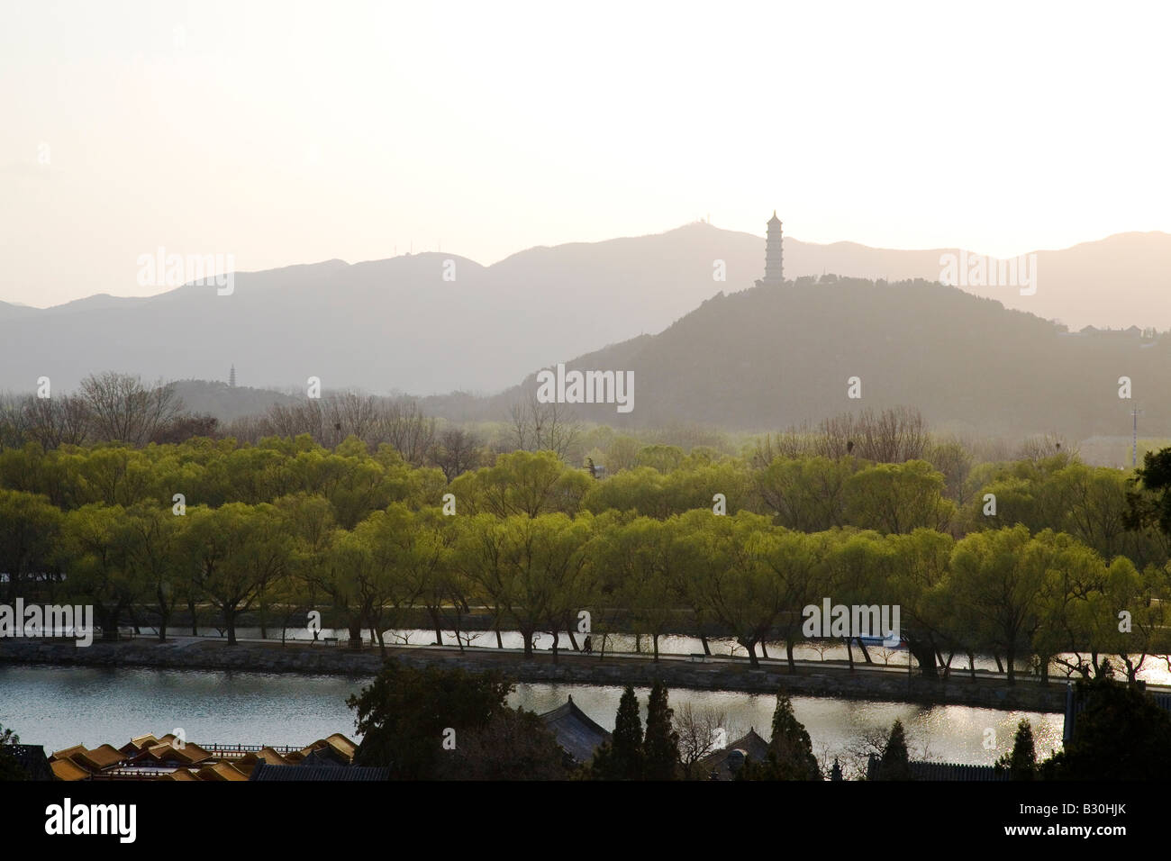 Fragrant mountain park hi-res stock photography and images - Alamy