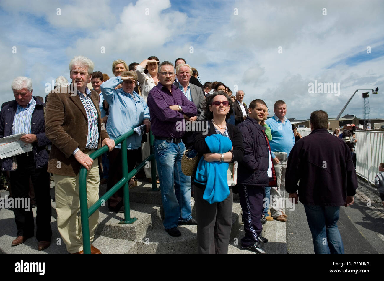 Irish race horse hi-res stock photography and images - Alamy
