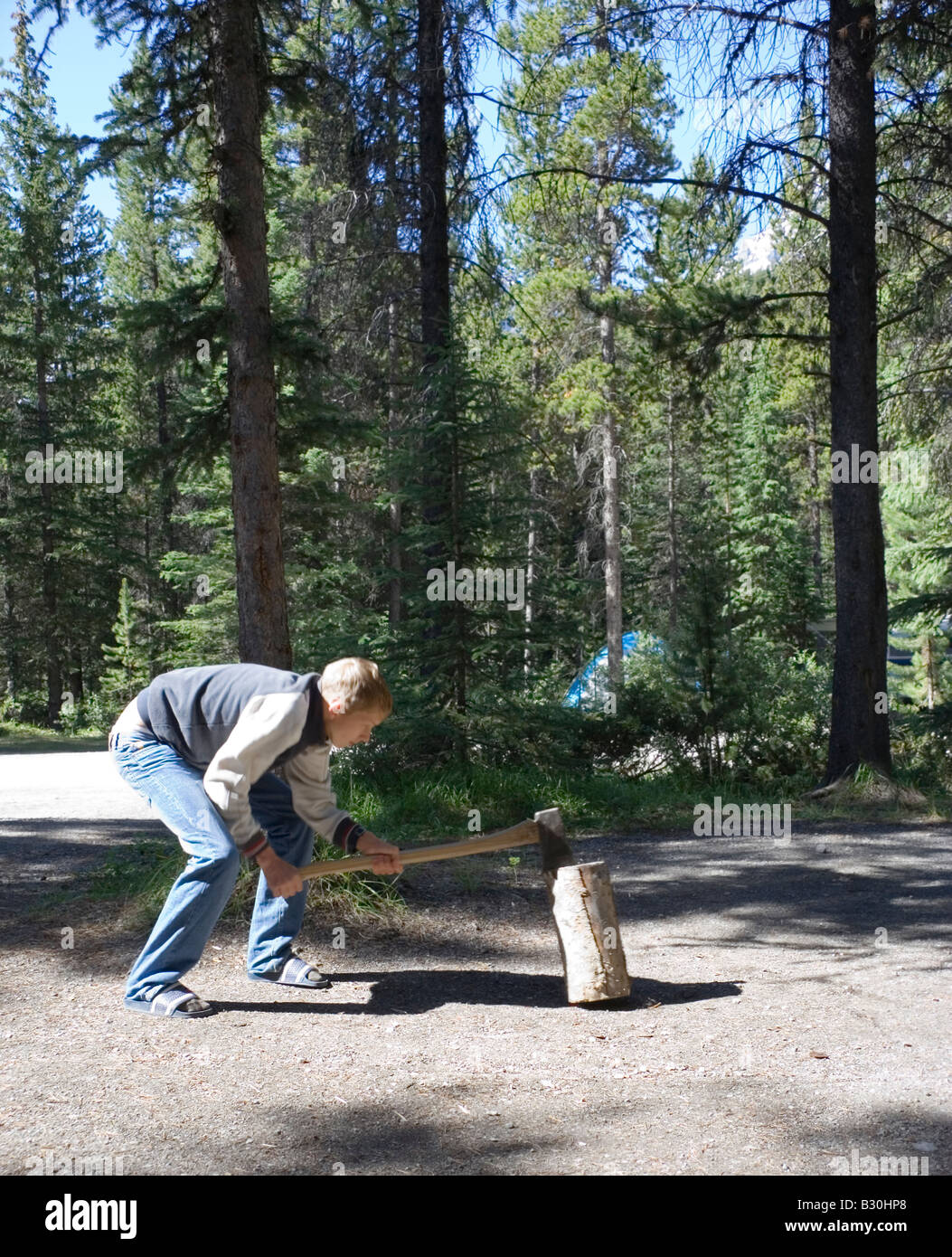 teen chopping wood on a campground in the banff national park, canada ...