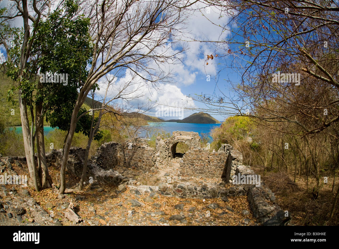 Historic ruins in the Virgin Islands National Park on the caribbean ...