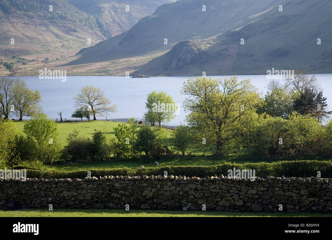 View from Rannerdale rising above farmland and pastures of Rannerdale ...