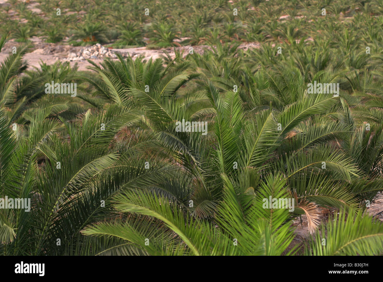 Structures texture hi-res stock photography and images - Alamy