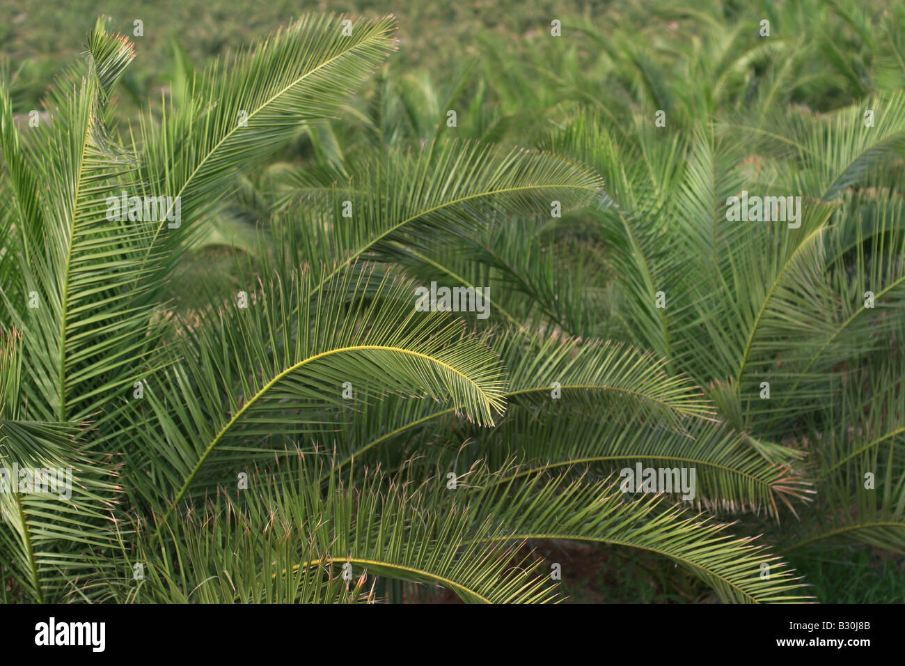 Structure structures hi-res stock photography and images - Alamy