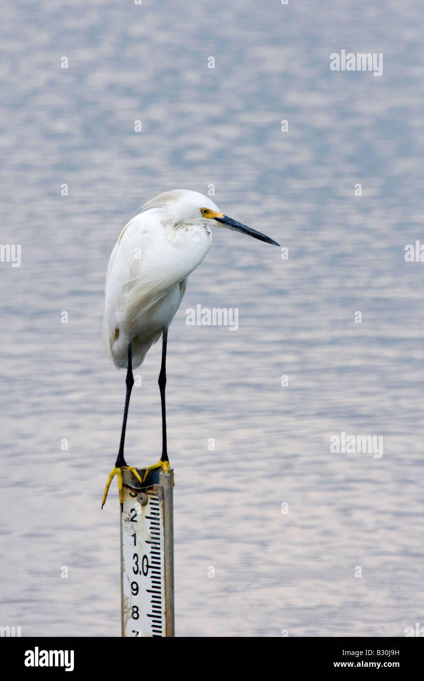 Tide Marker High Resolution Stock Photography and Images - Alamy