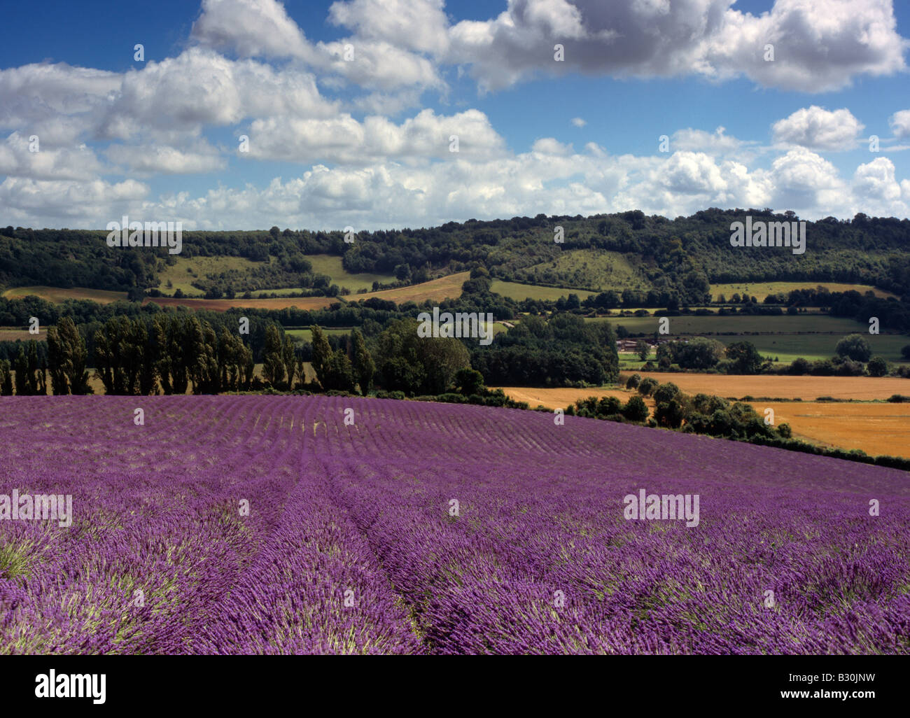 Darenth hi-res stock photography and images - Alamy