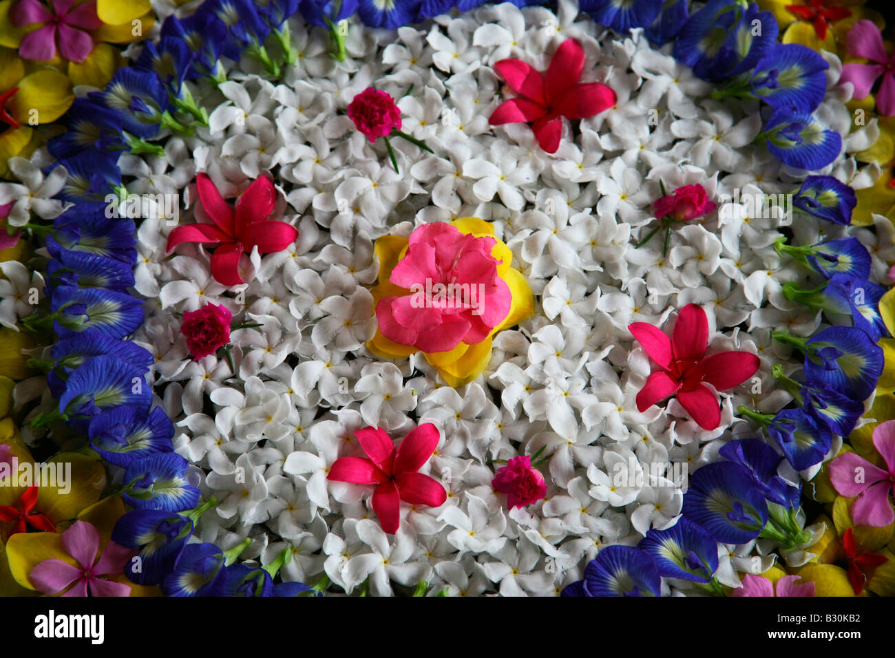 Floral art ( floating flowers of multiple colour) of kerala,India Stock ...