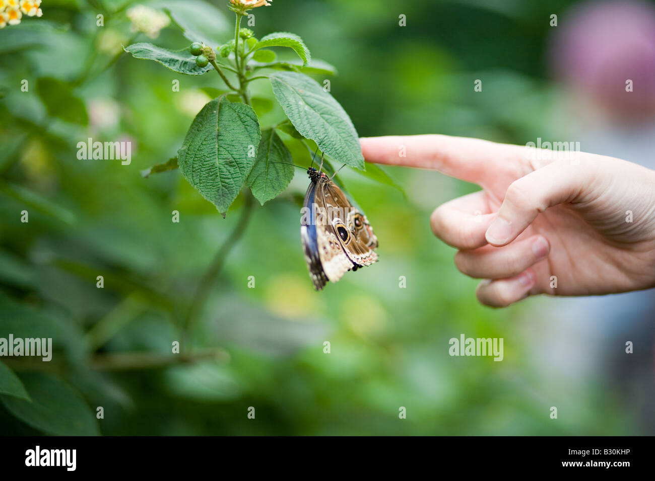 Finger out hi-res stock photography and images - Alamy