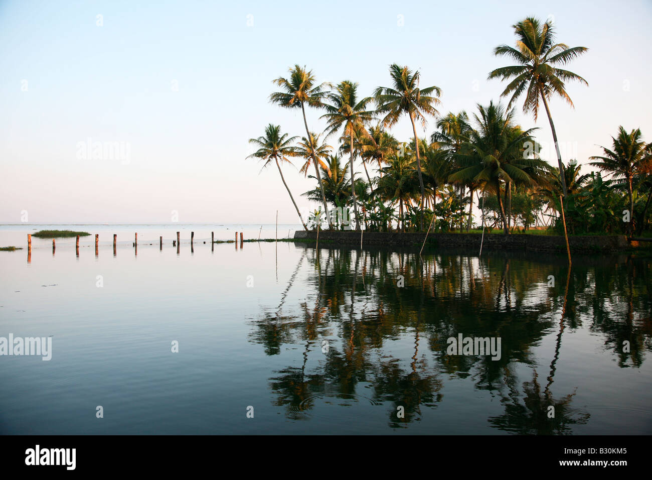 Kumarakom lake, kerala,india Stock Photo - Alamy