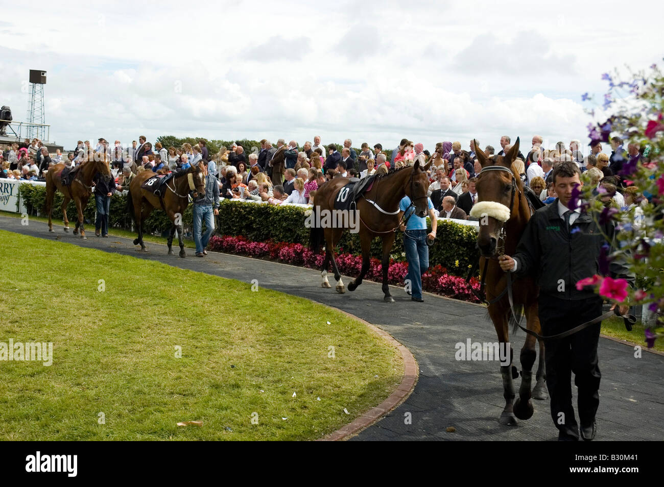 Parade ring at the Galway Races, Ireland Stock Photo - Alamy