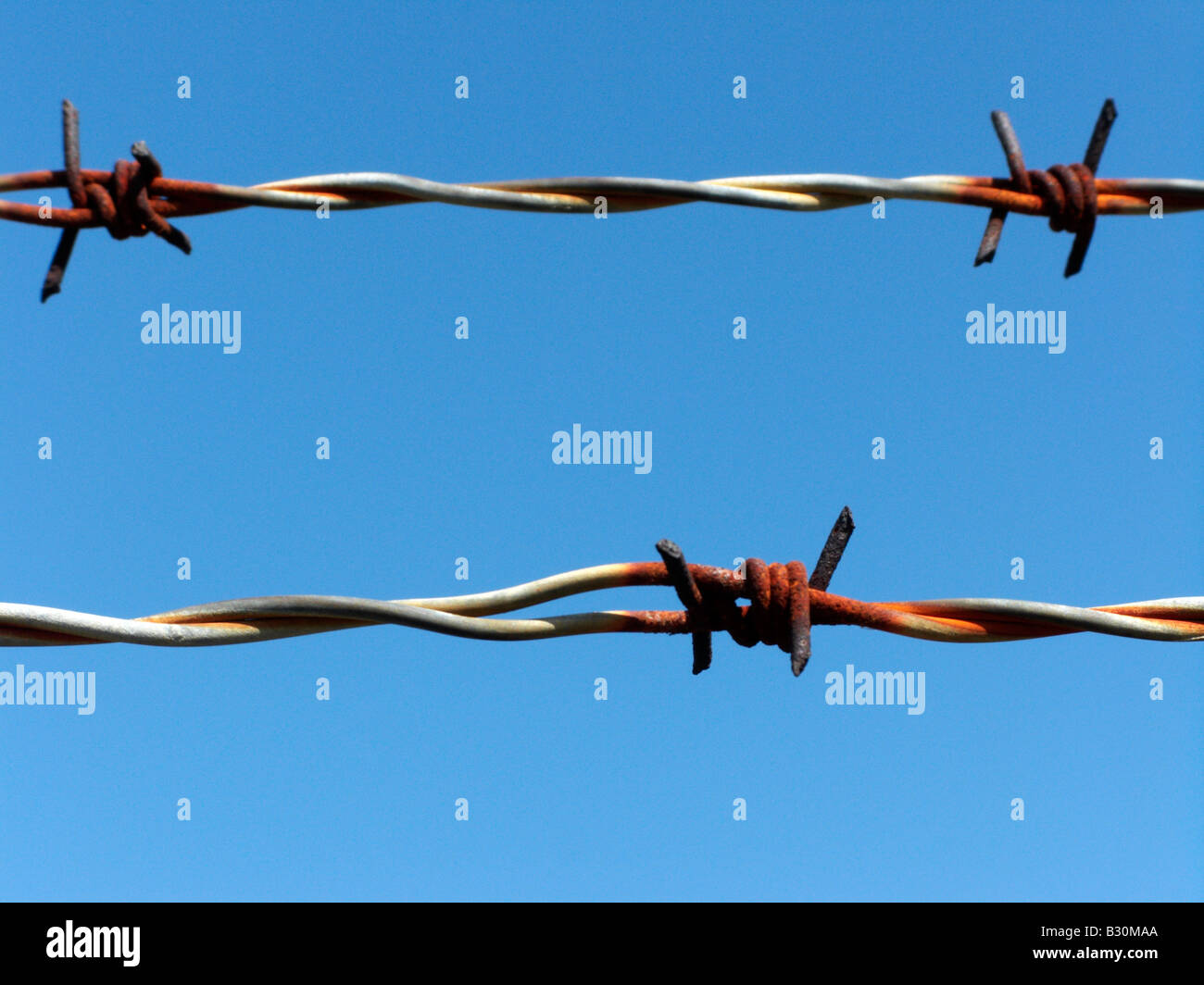 Guard wire hi-res stock photography and images - Alamy