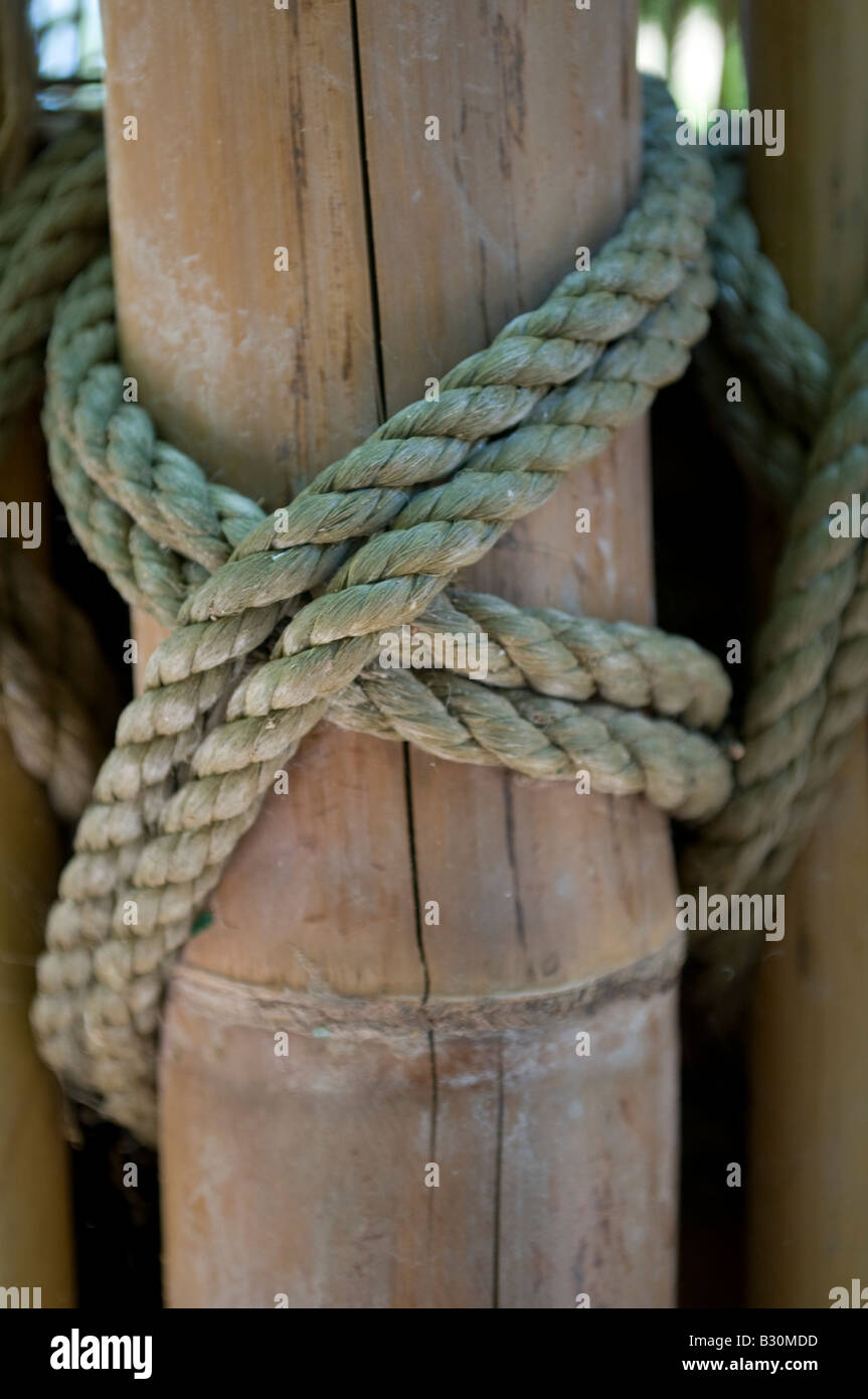 Bamboo knots hi-res stock photography and images - Alamy