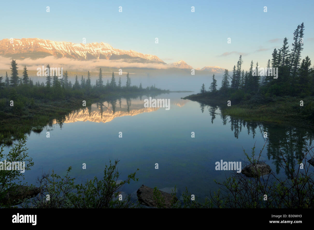 Misty morning nature landscape Stock Photo - Alamy