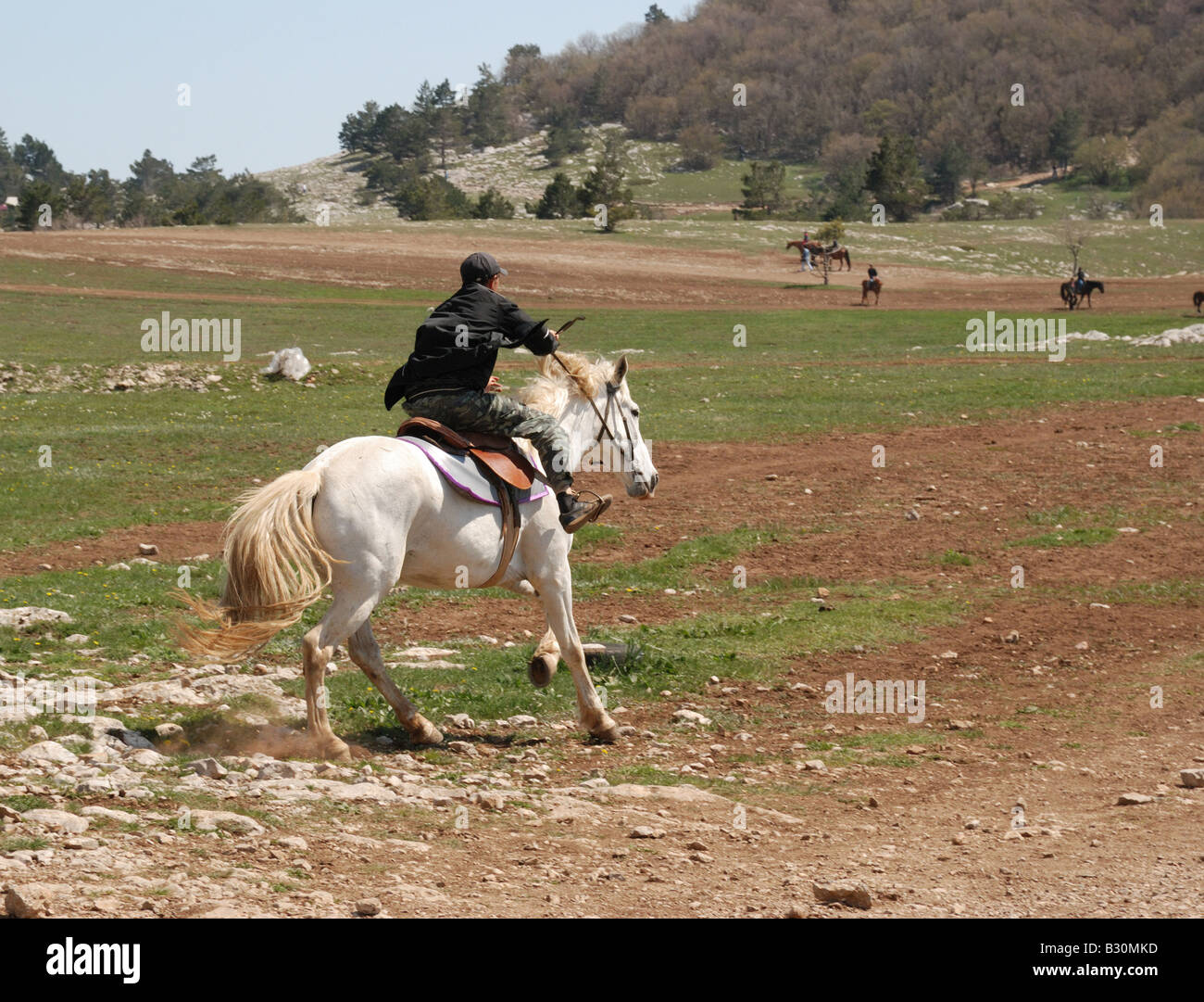 The horseman A horse running a jog trot with the equestrian Stock Photo ...