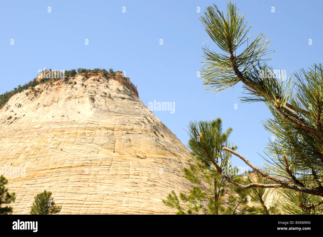 Checkerboard Butte in the beautiful Zion National Park in Utah USA ...