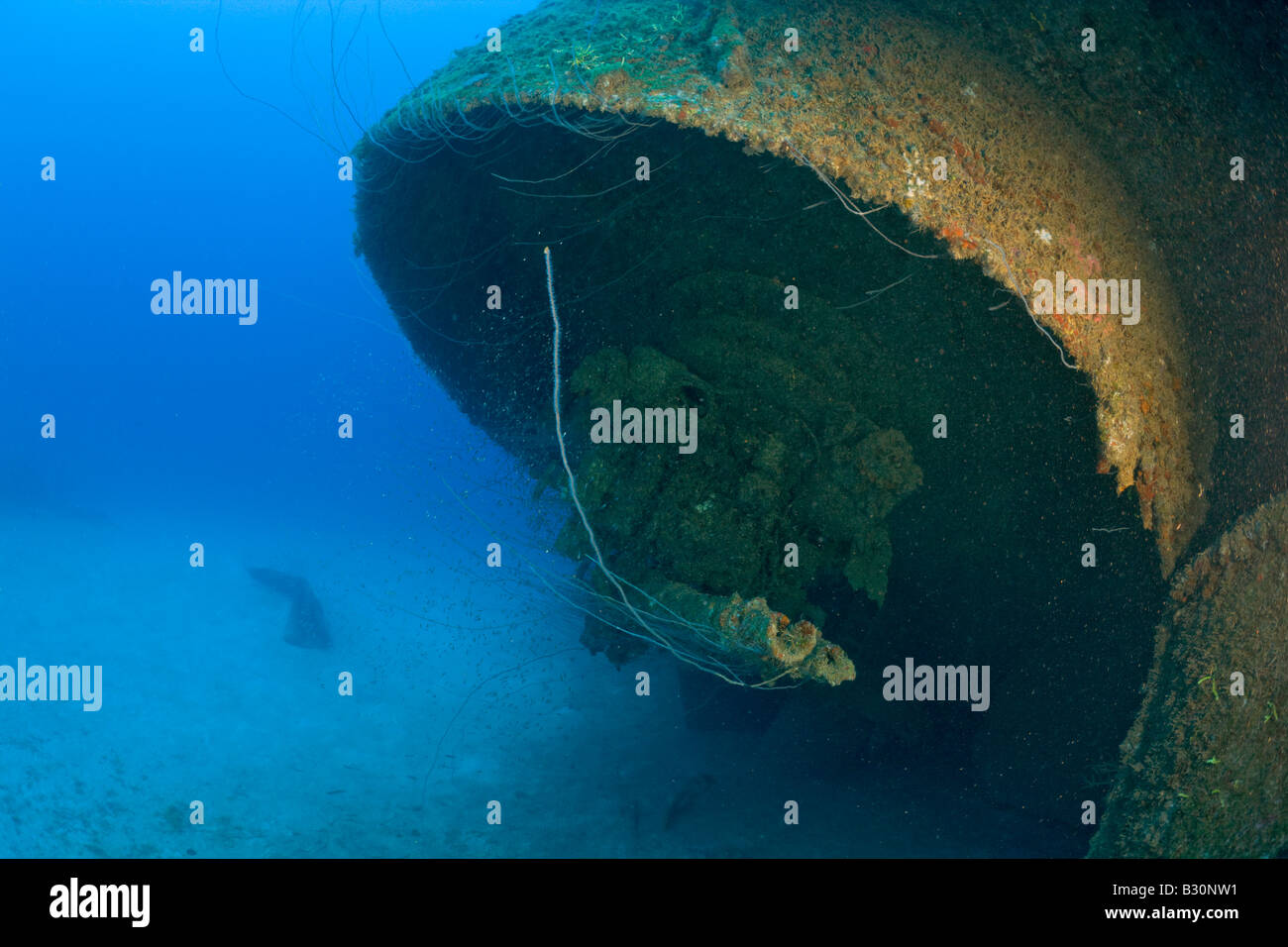 Batt reef hi-res stock photography and images - Alamy