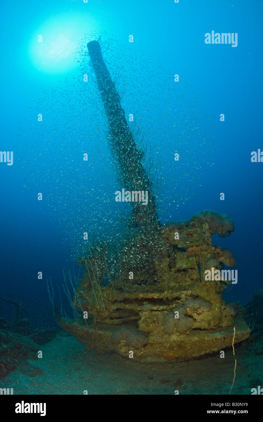 U.s. marshall gun hi-res stock photography and images - Alamy