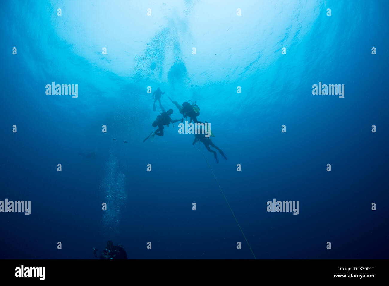 Decompress hi-res stock photography and images - Alamy