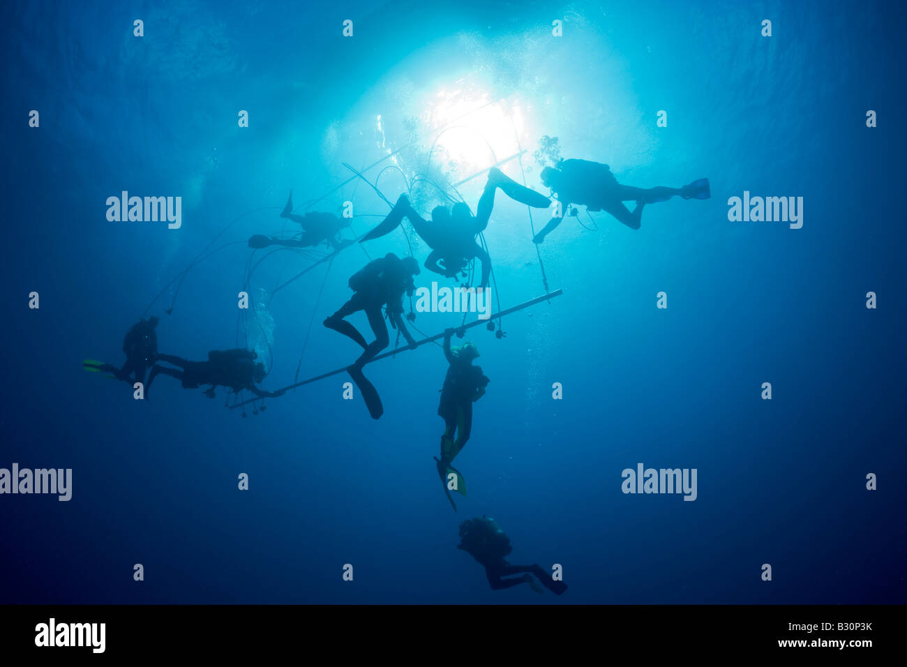 Divers at Decompression Trapeze after deep Wreckdive Marshall Islands ...