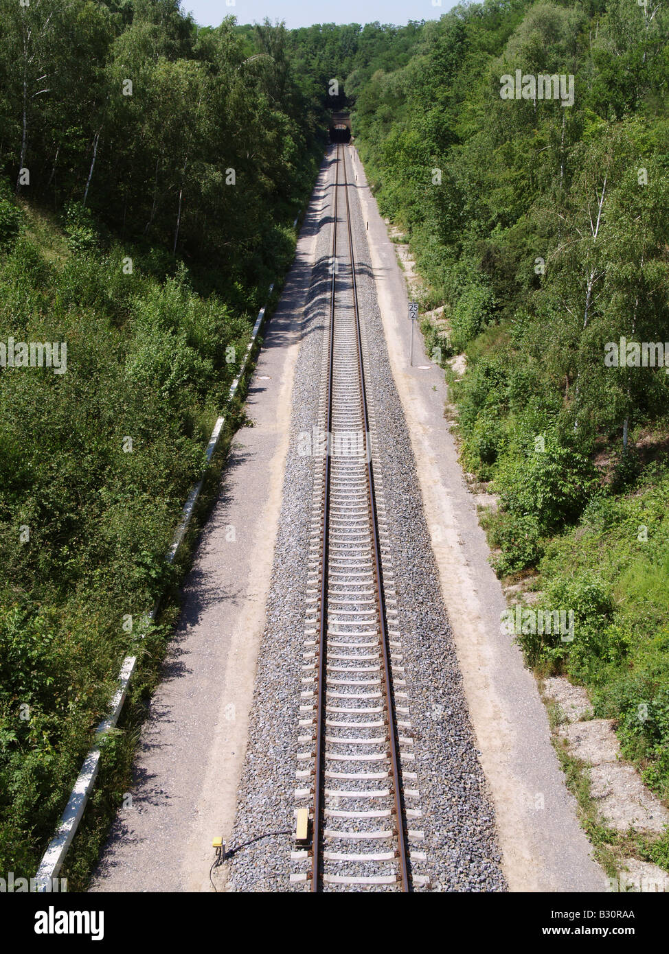 dead straight track surrounded by wood Stock Photo - Alamy