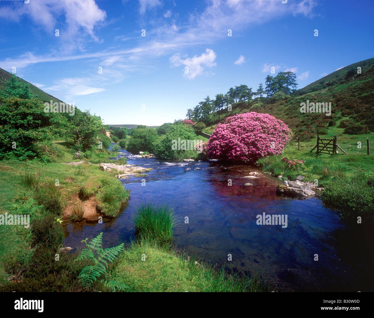 Stream running through Doone valley on Exmoor National park Stock Photo ...