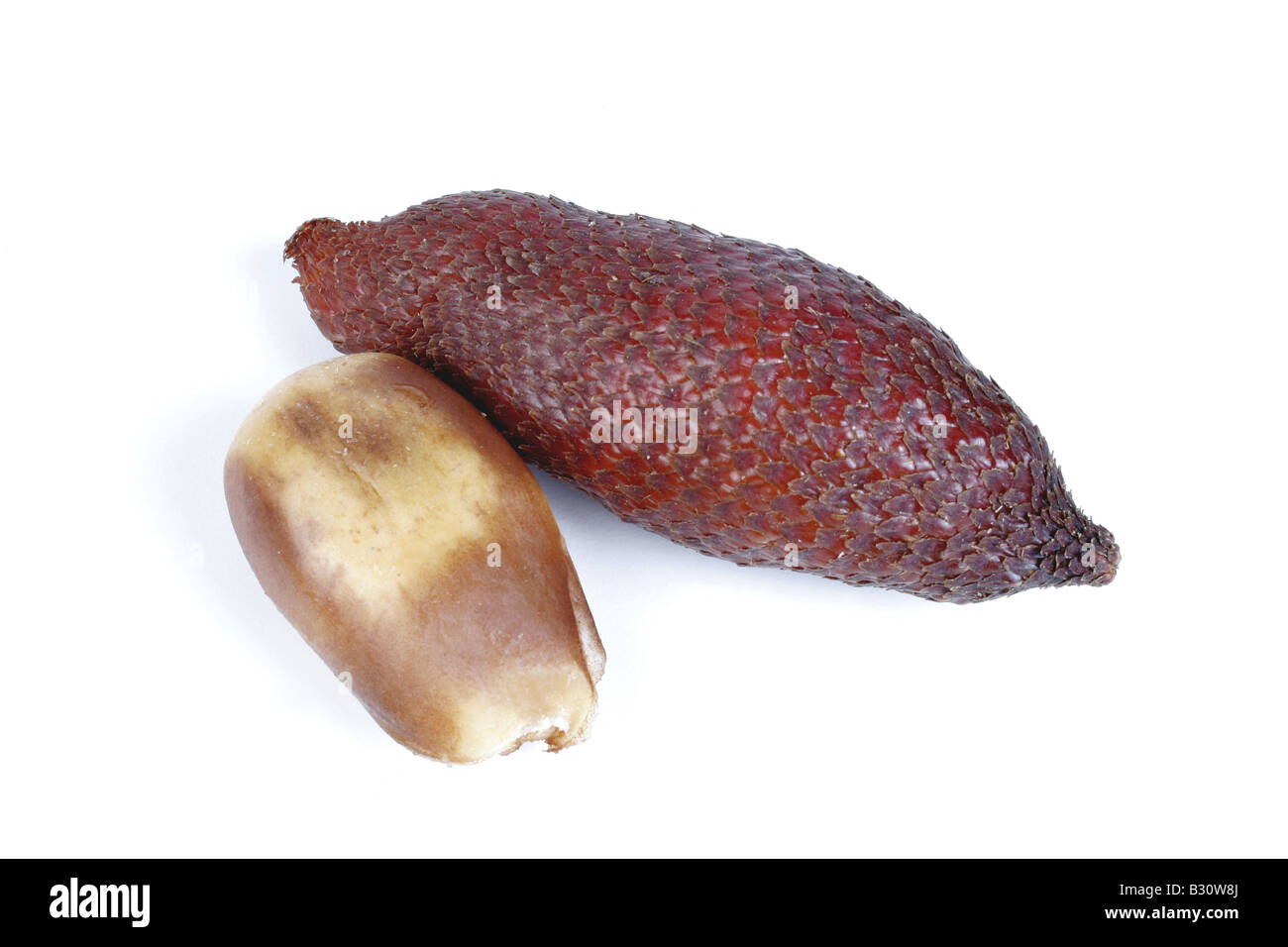 Top of the palm tree Cut Out Stock Images & Pictures - Alamy