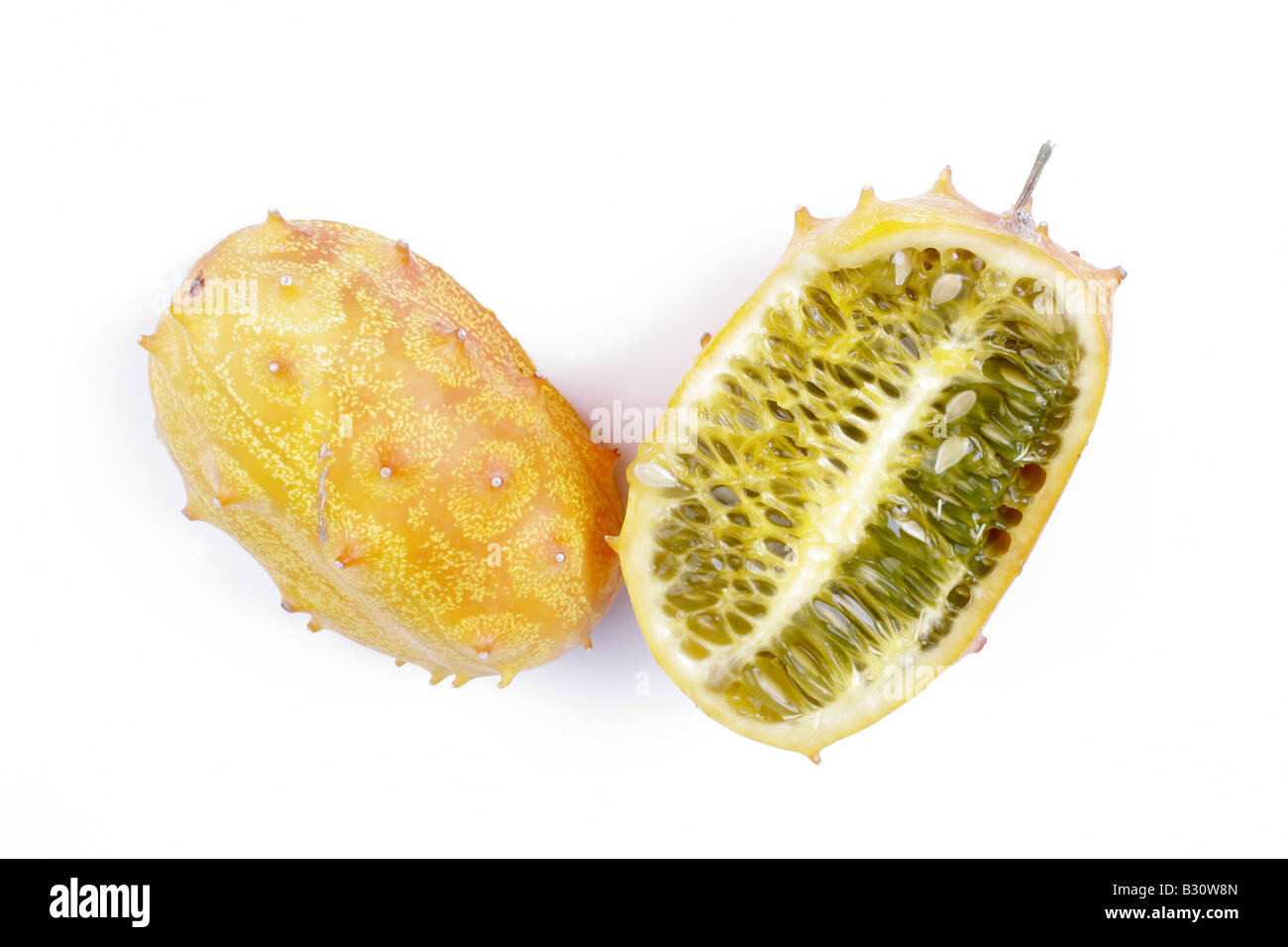 Cucumis metuliferus, African cucumber, African horned cucumber, kiwano ...