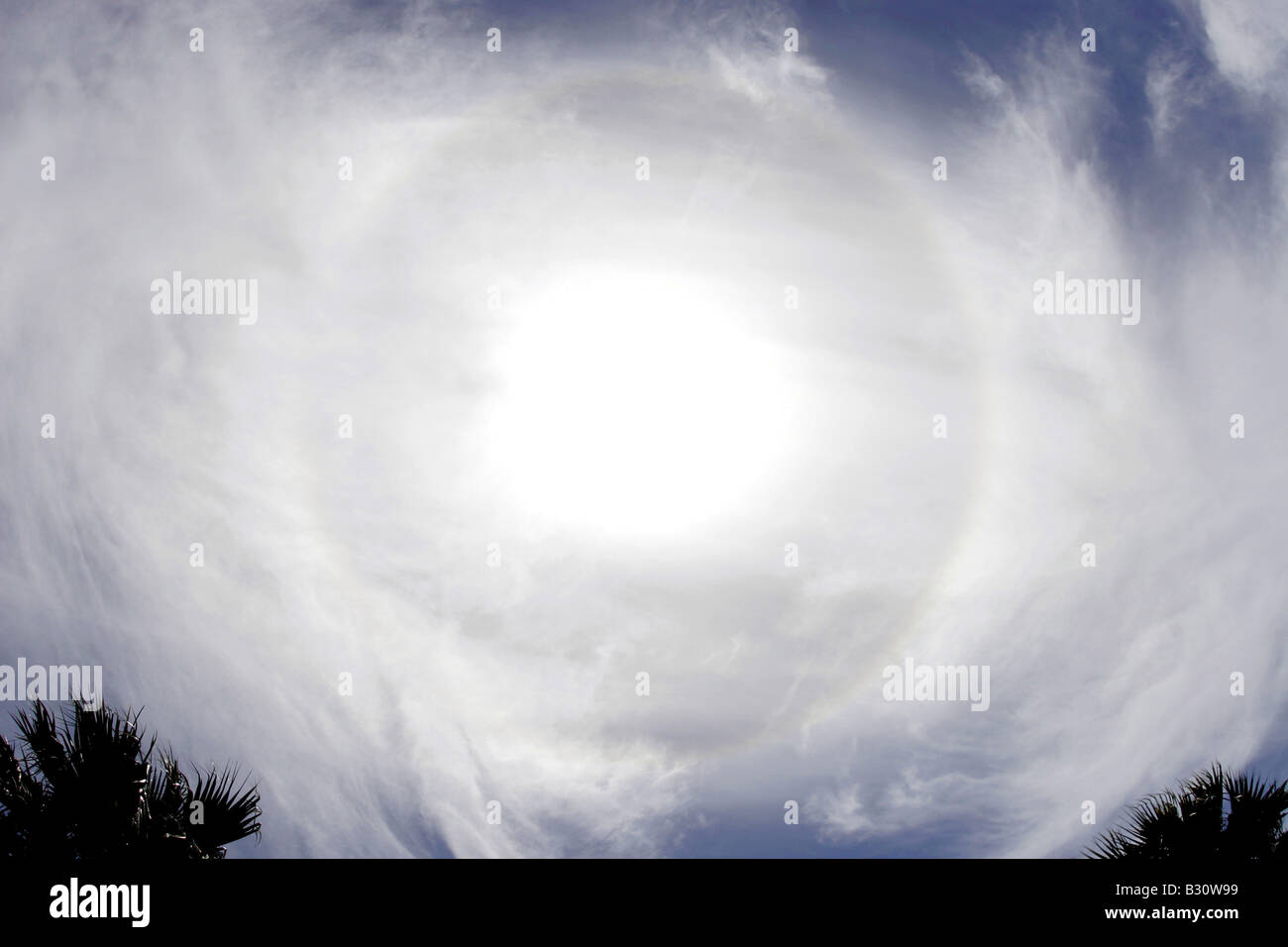 Halo, halo effect, halo-effect Stock Photo - Alamy