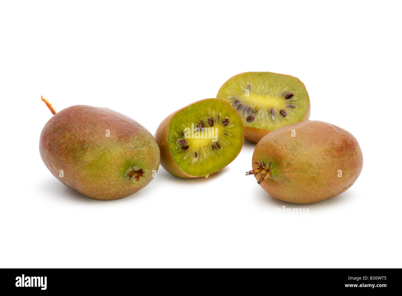 Actinidia arguta, Bower Actinidia Stock Photo - Alamy