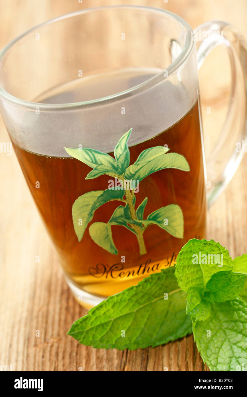 Peppermint flavour flavor hi-res stock photography and images - Alamy